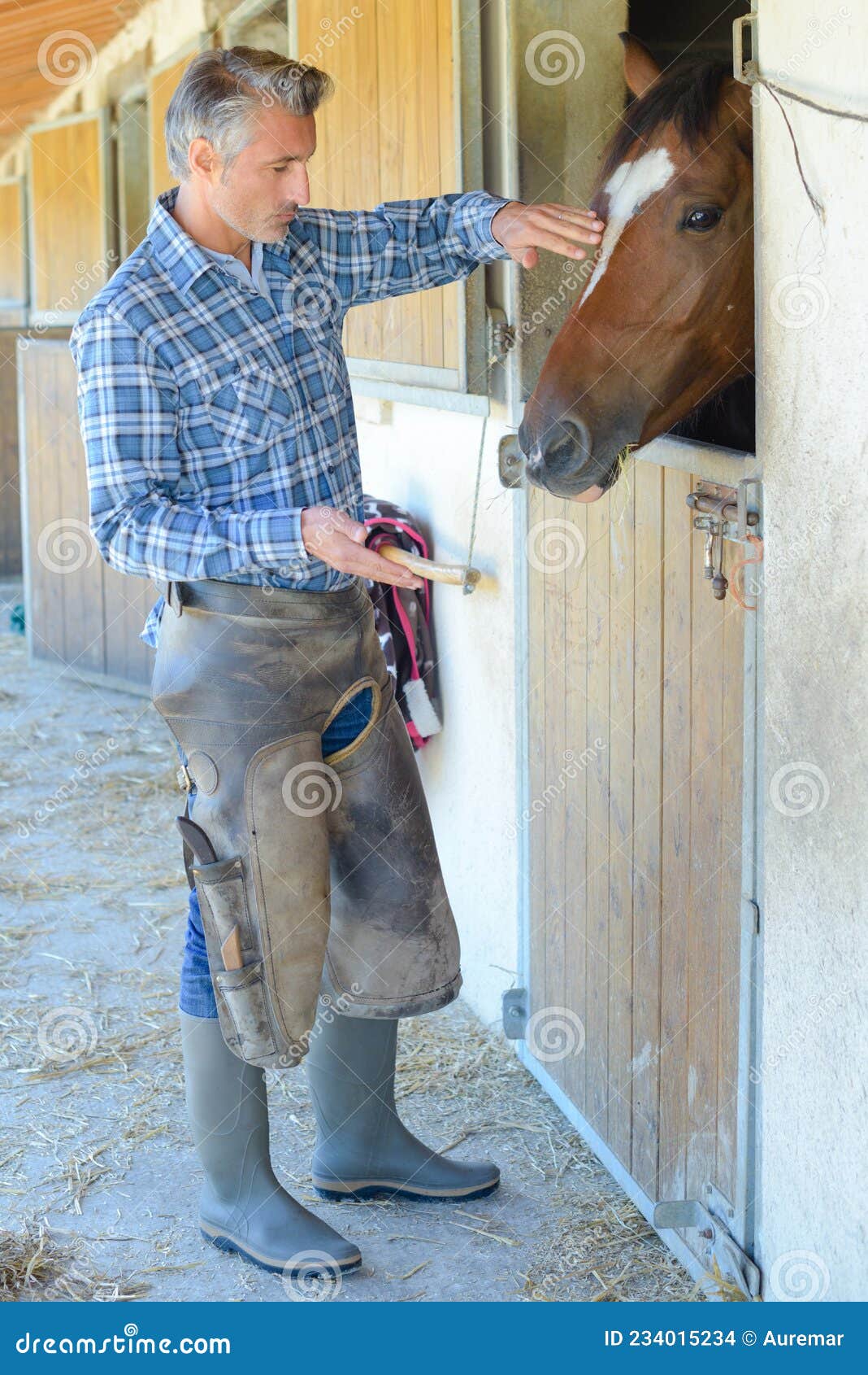 Man in stable stock photo. Image of farm, ranch, equine - 234015234