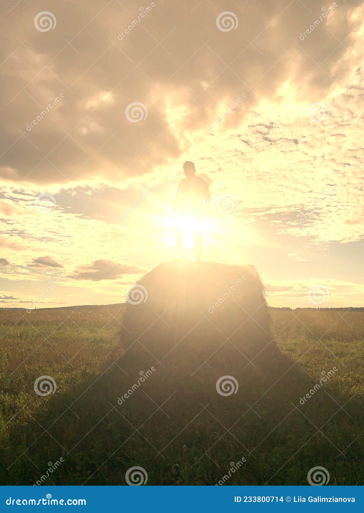 Man stand on stack of hey stock photo. Image of legs - 233800714