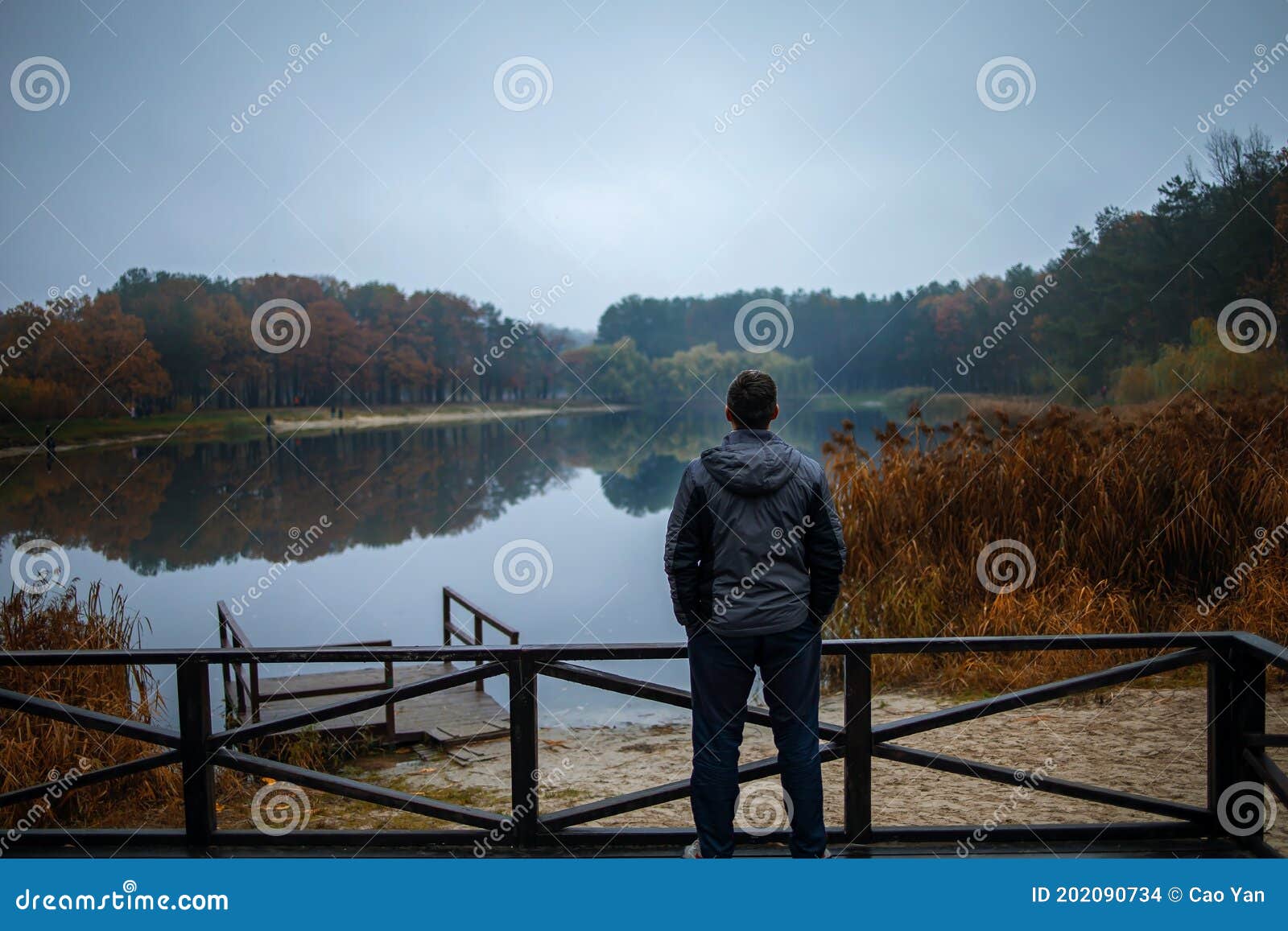 A Man Standing Alone Looking into the Distance, Deep in Thought. Stock ...