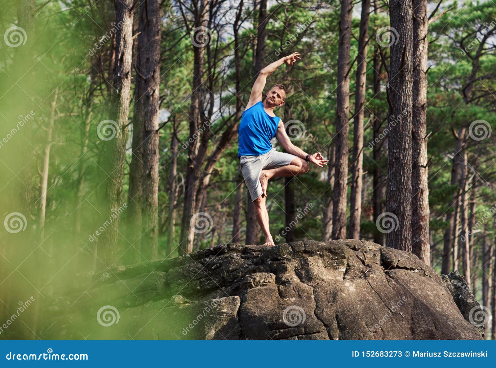 Fit Man Doing the Bending Tree Pose in a Forest Stock Image - Image of ...