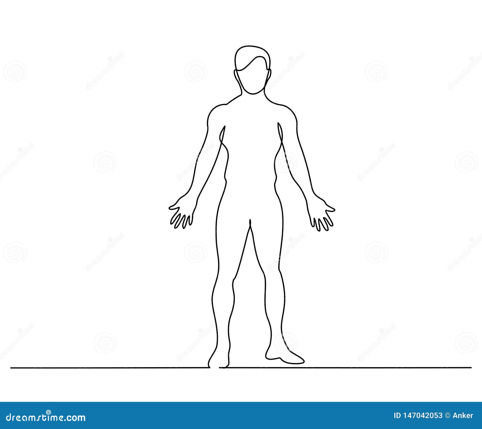 Man Standing In Anatomy Position Continuous Line Stock Vector