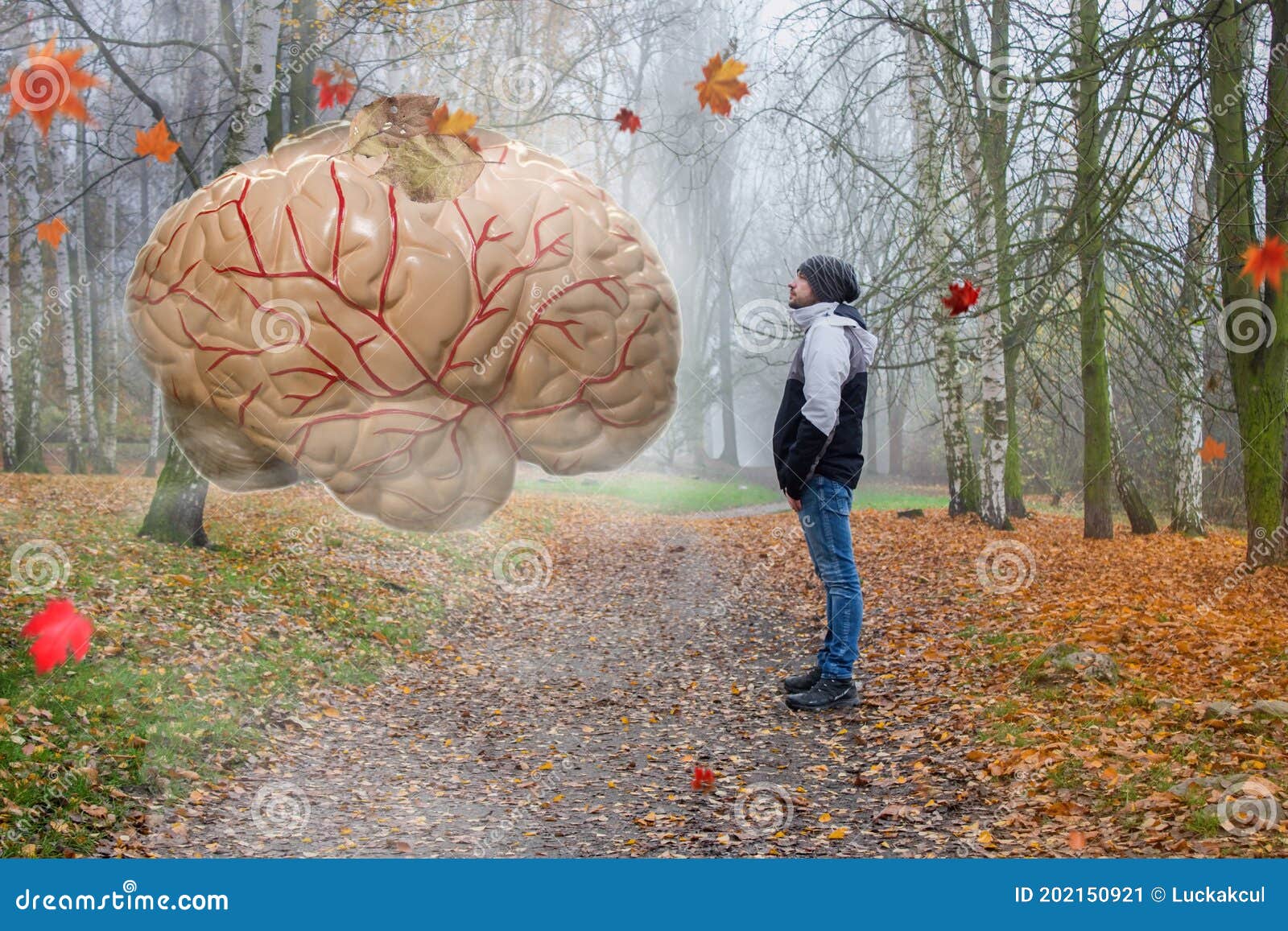 A Man Standing in a Autum Landscape in Front of Giant Human Brain. the ...