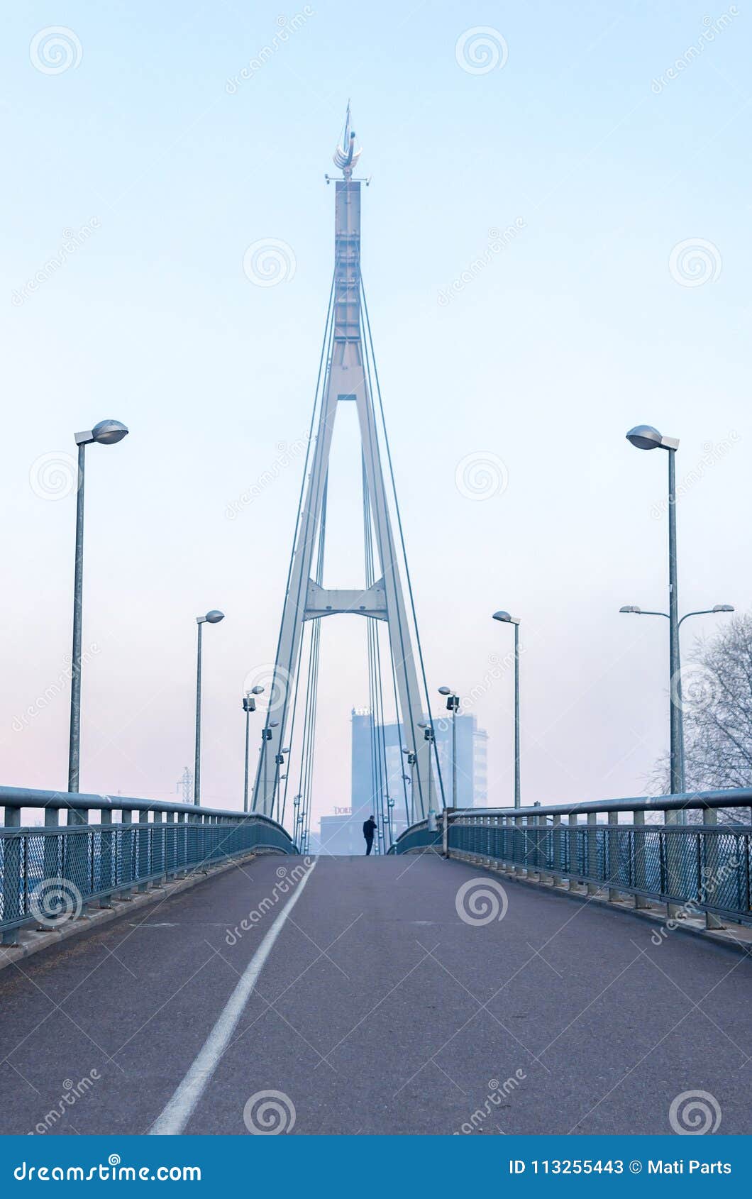 A Man Standing on the Bridge Stock Image - Image of silhouette, bridge ...