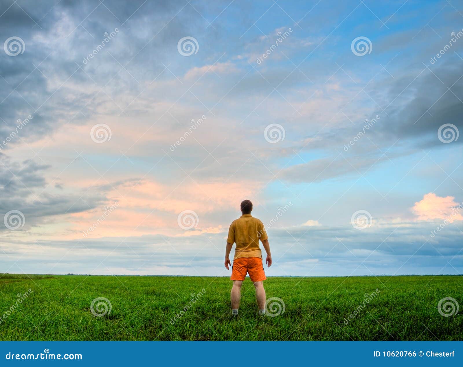 Man standing on field stock photo. Image of field, environment - 10620766