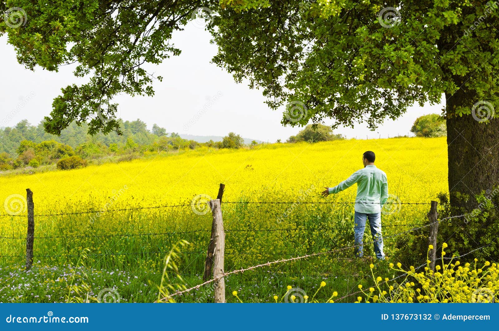 Man Standing in Field stock photo. Image of farm, purity - 137673132