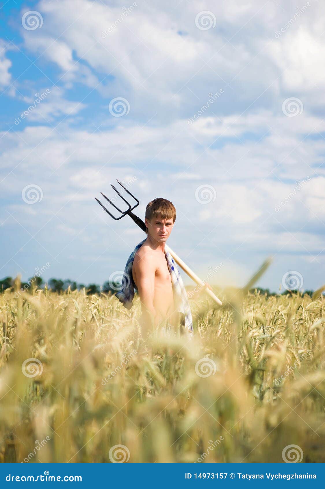 Man standing in field stock image. Image of farm, food - 14973157