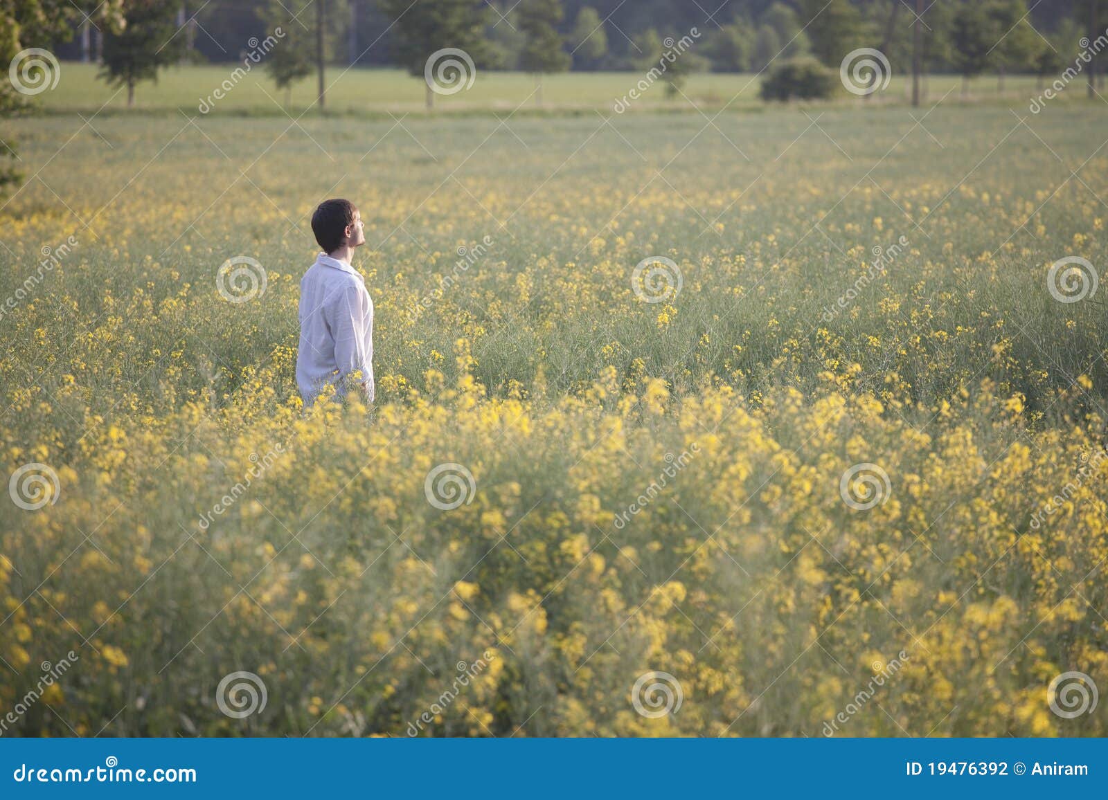 Man standing in field stock photo. Image of harvest, caucasian - 19476392