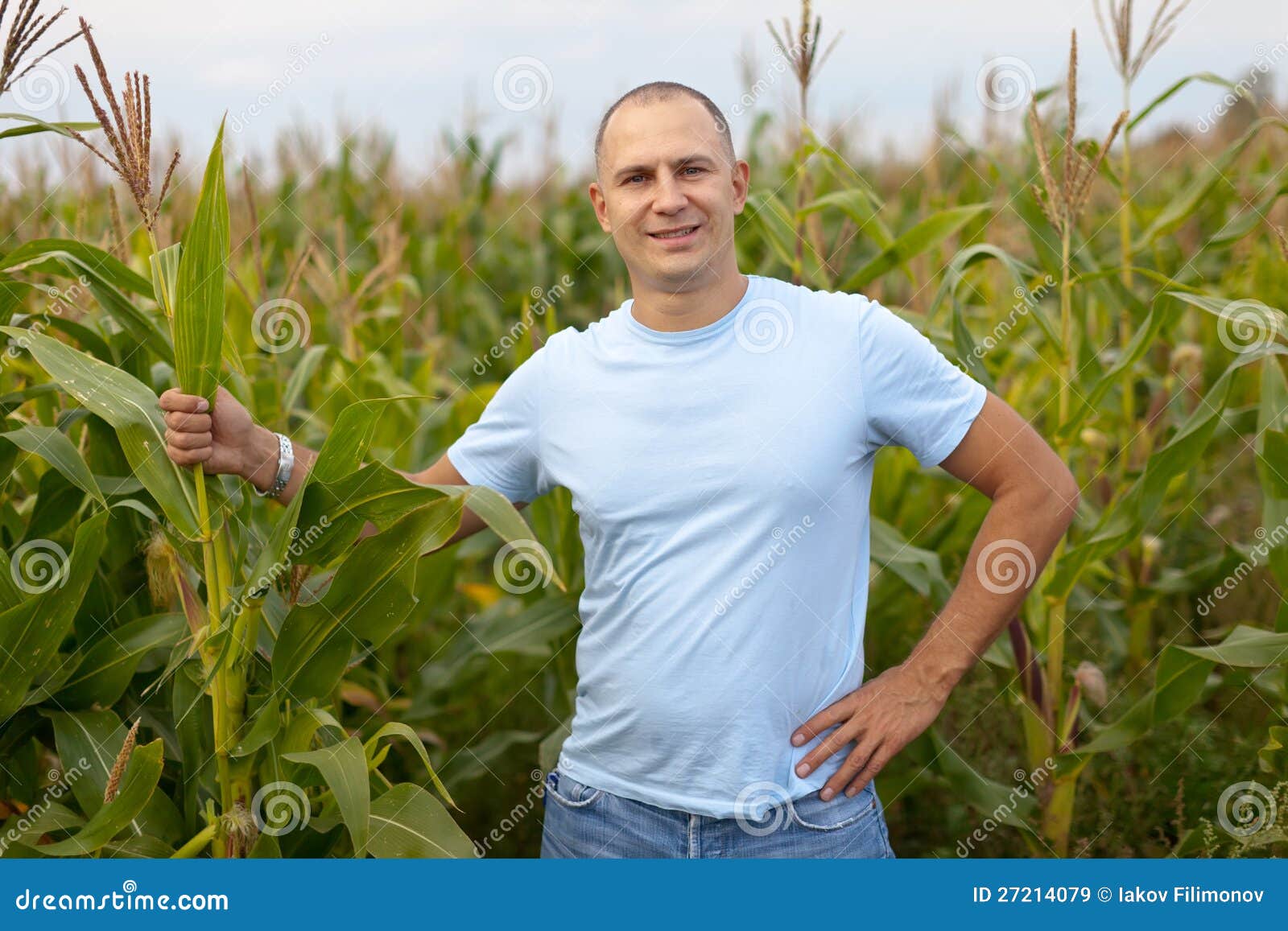 Man standing in field stock image. Image of healthy, farmer - 27214079