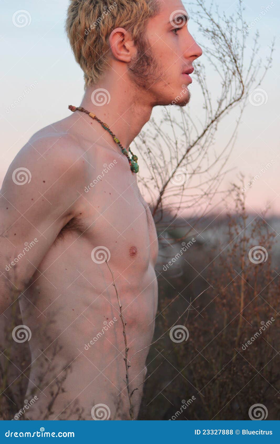 Man Standing in a Field with His Bare Chest Stock Photo - Image of ...