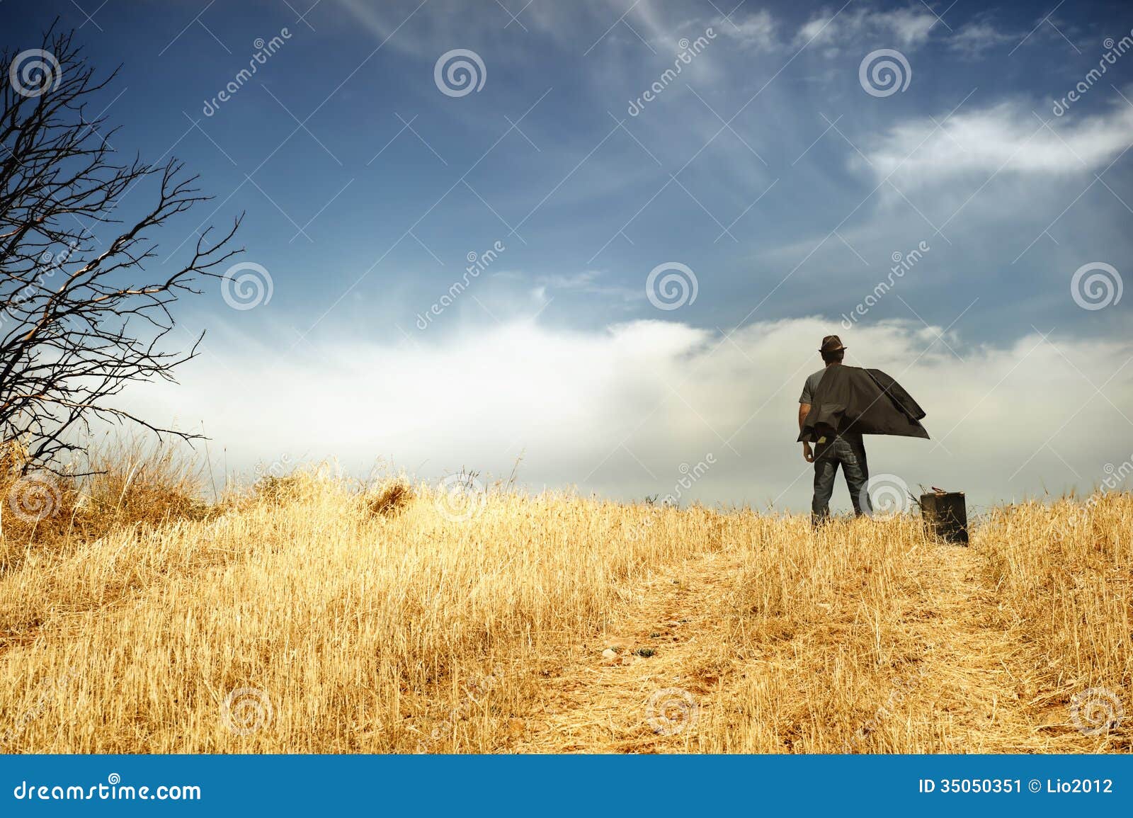 Man standing in a field stock image. Image of horizontal - 35050351