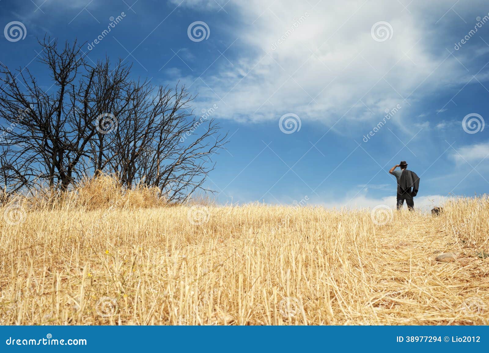 Man standing in a field stock photo. Image of casual - 38977294