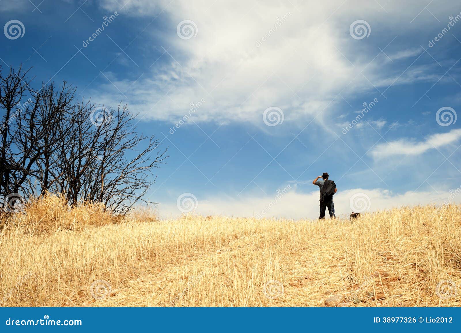 Man standing in a field stock photo. Image of outside - 38977326