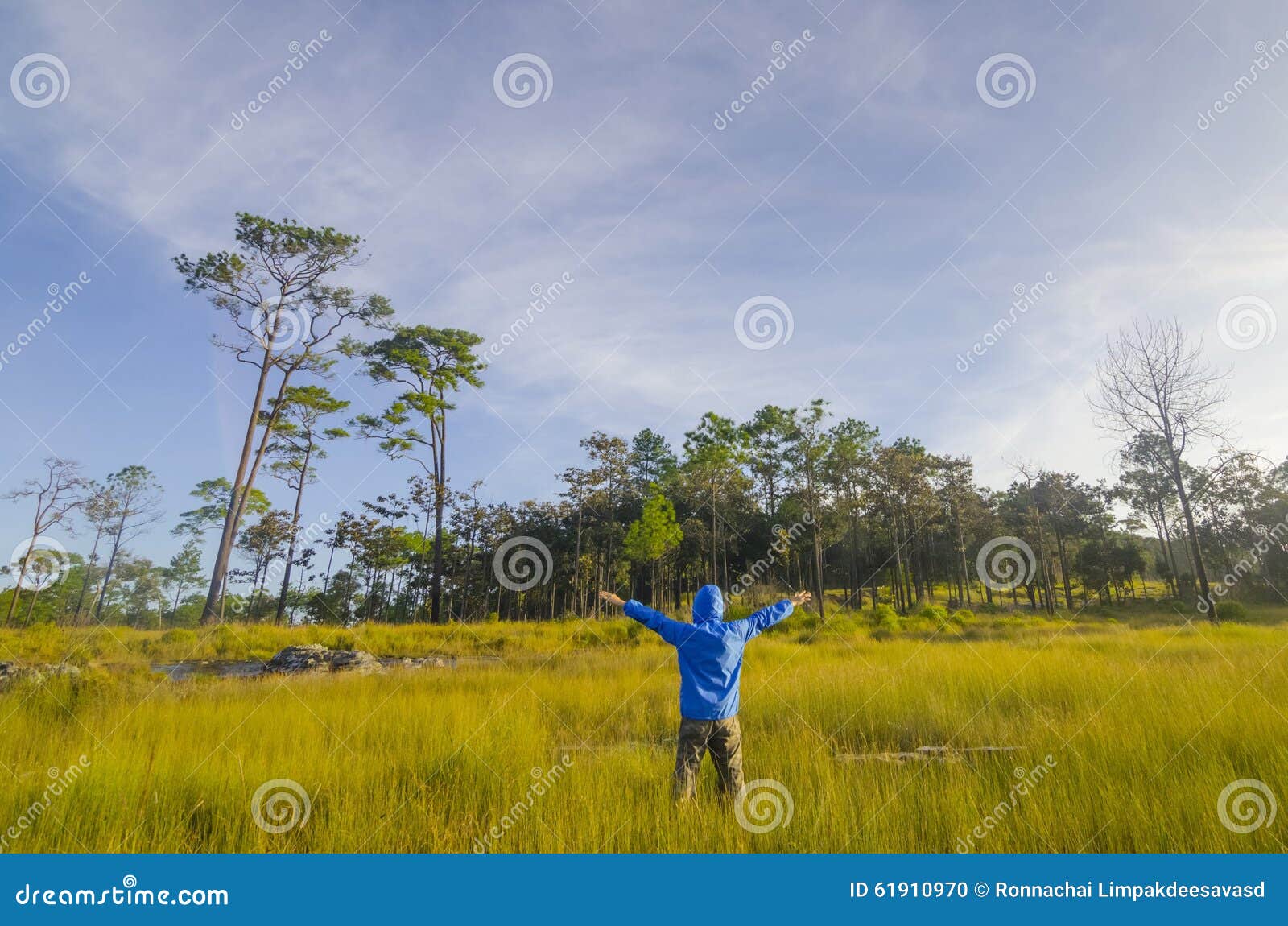 Man standing in field stock photo. Image of field, blow - 61910970