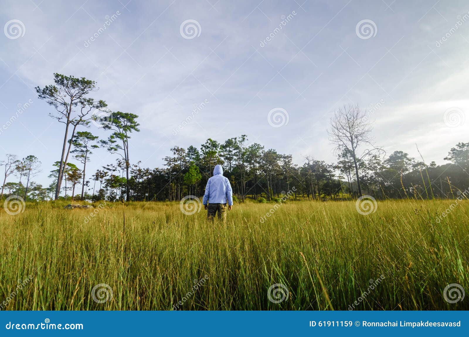 Man standing in field stock image. Image of countryside - 61911159