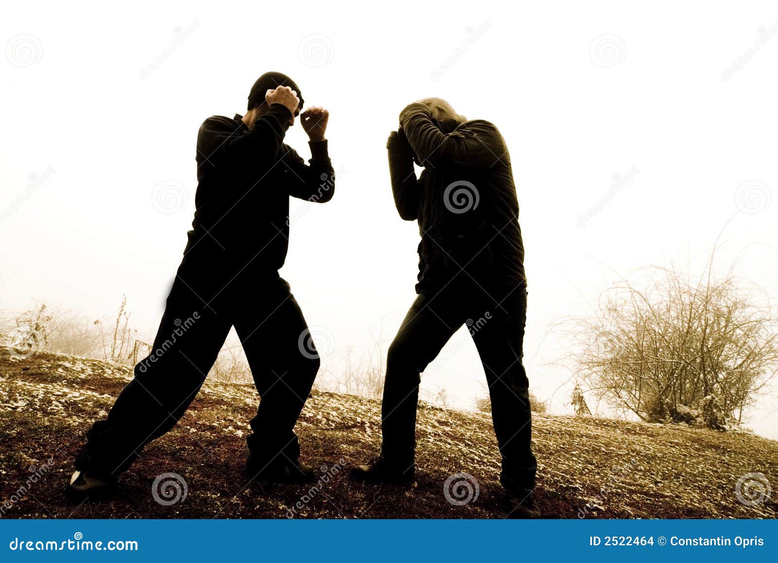 Man Standing in Fight Guard Stock Photo - Image of grass, silhouette ...