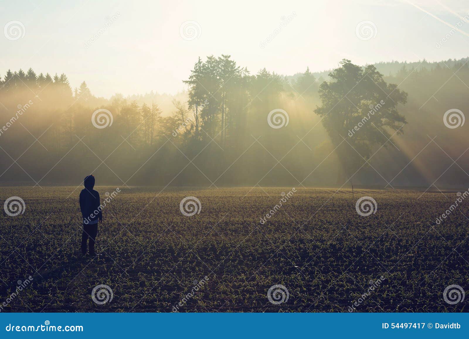 Man Standing in the Fog at Sunrise Stock Image - Image of forest ...