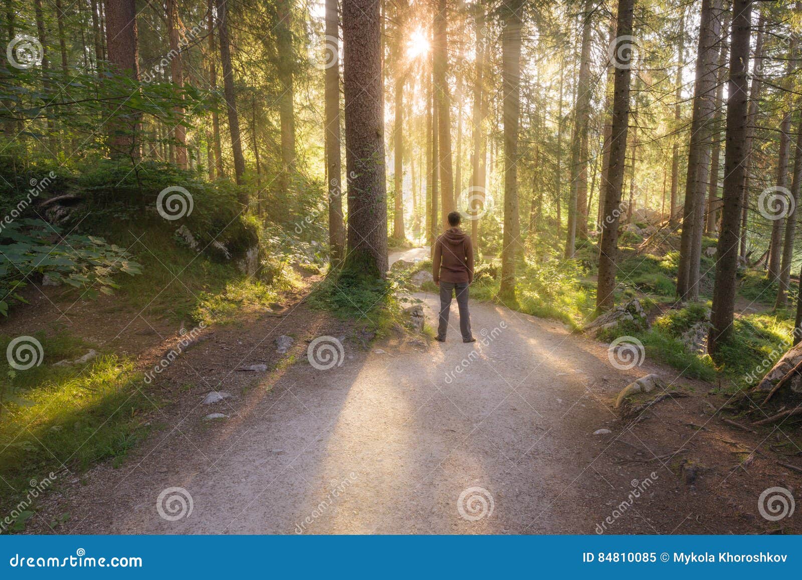 Man Standing at the Forest Path Stock Image - Image of hike, activity ...