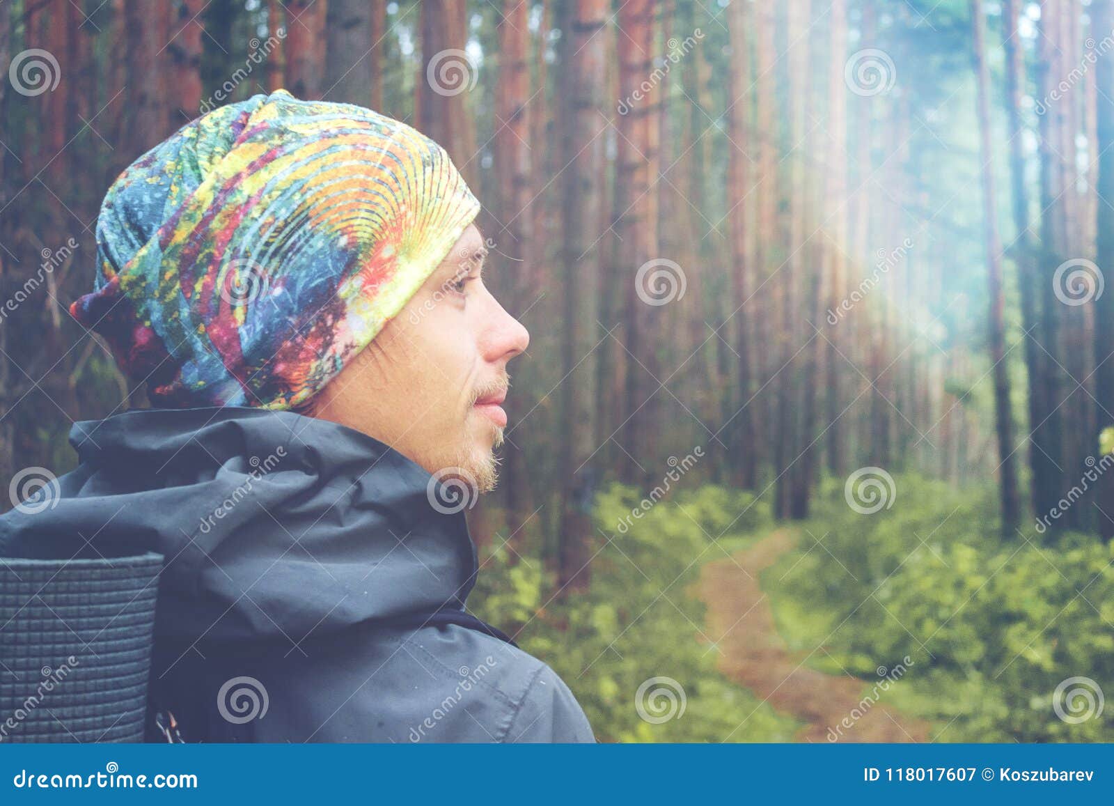 Man standing in forest stock image. Image of pine, human - 118017607