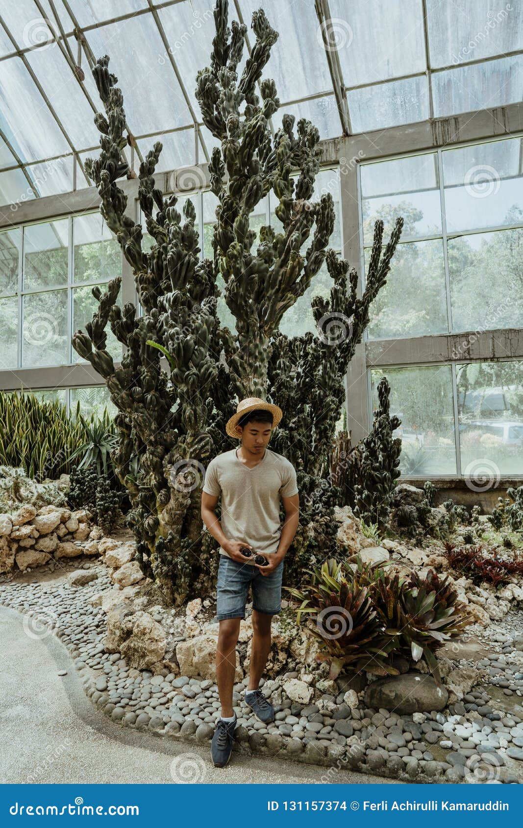 Man Standing in Front of Big Cactus Tree Stock Photo - Image of ...