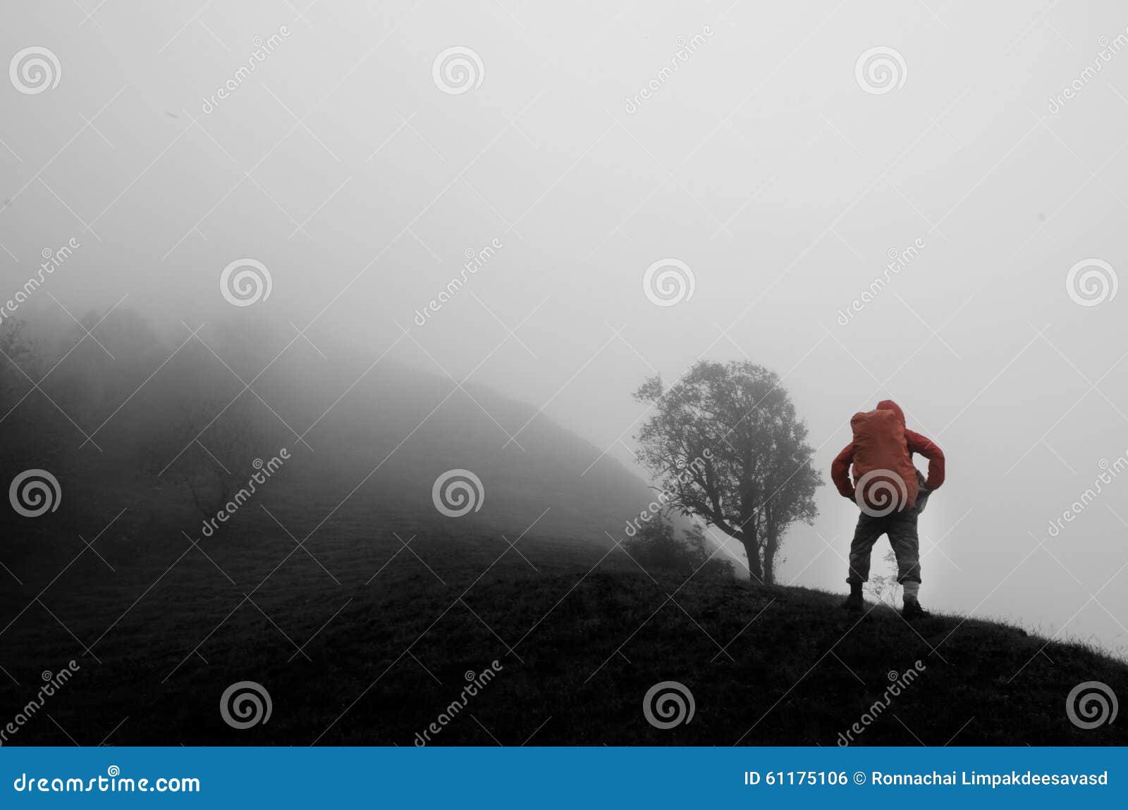 Man Standing on Hill with Fog Stock Photo - Image of freedom, foggy ...
