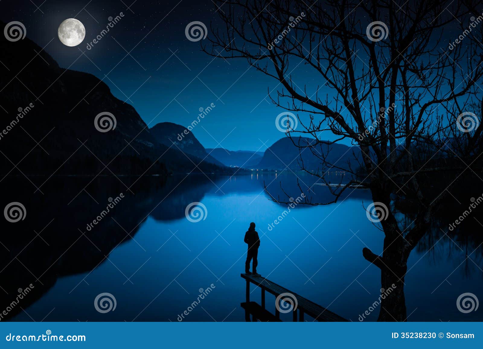 1,511 Moonlight Man Stock Photos - Free & Royalty-Free Stock Photos ...