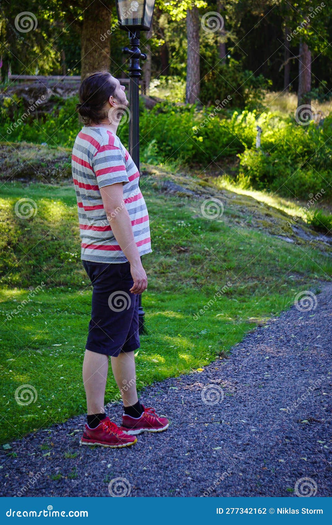 A Man Standing Looking Up in a Park Stock Photo - Image of shorts, lawn ...