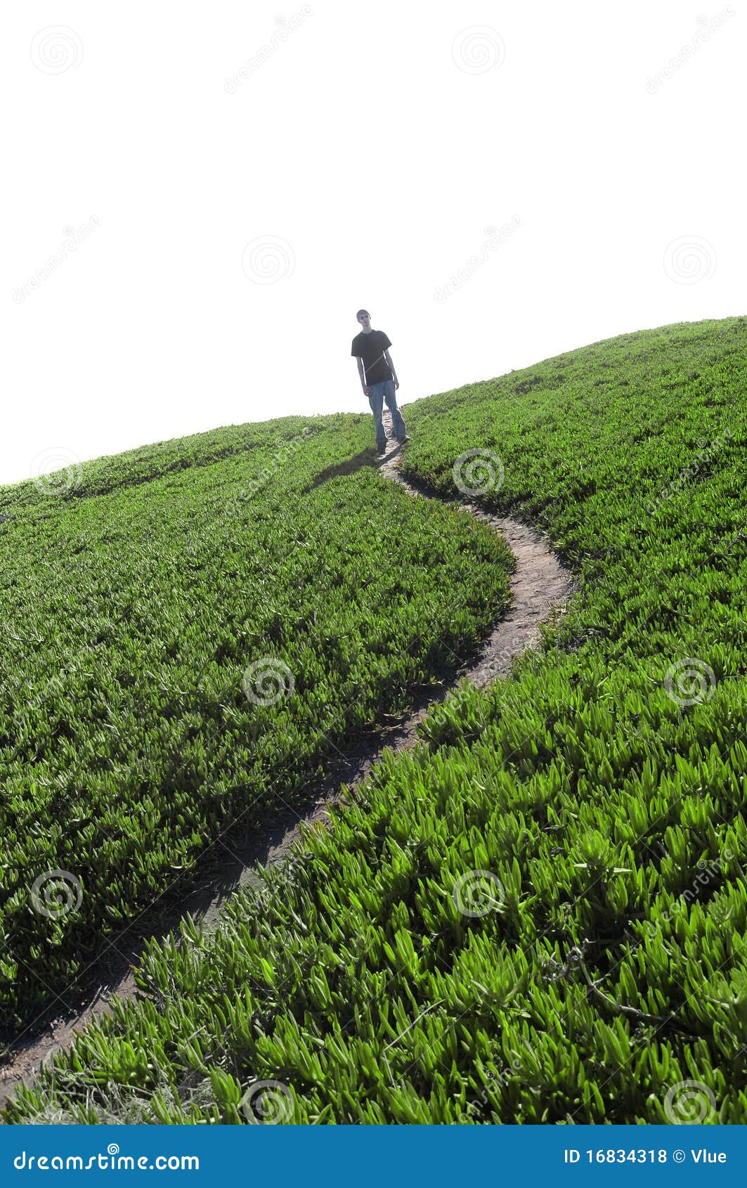 Man Standing on a Narrow Path Stock Photo - Image of backdrop, vertical ...