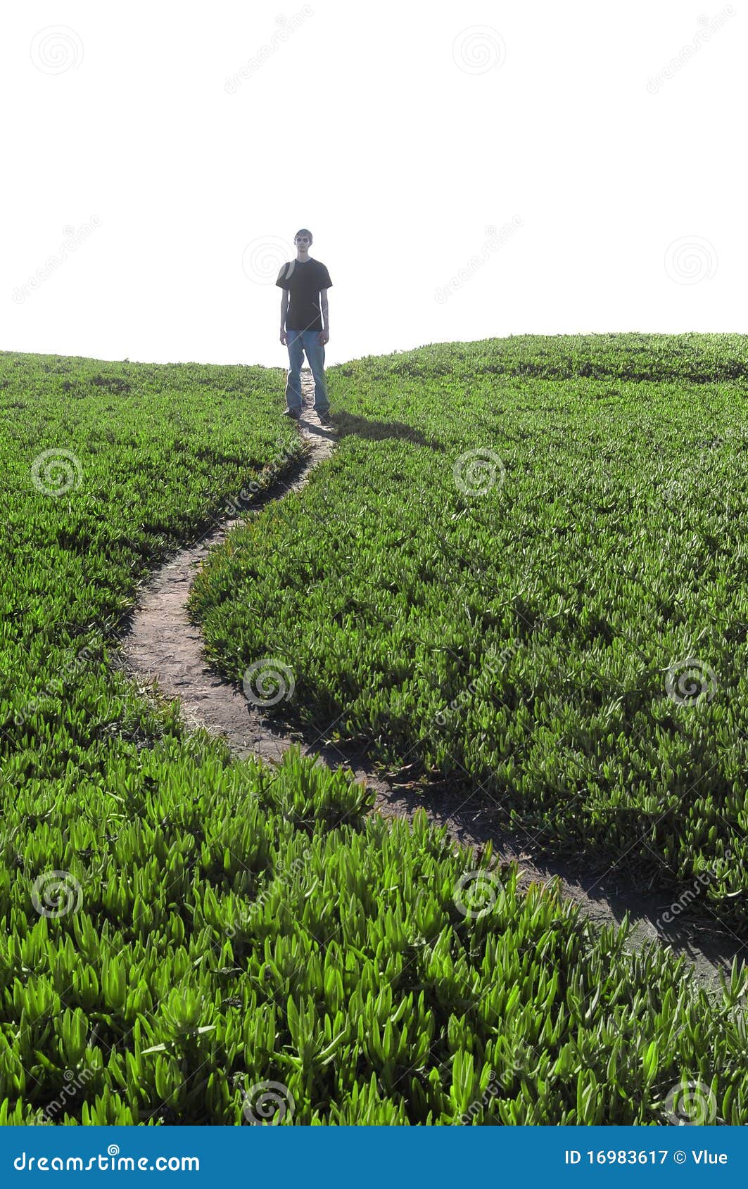 Man Standing on a Narrow Path Stock Image - Image of stand, troll: 16983617