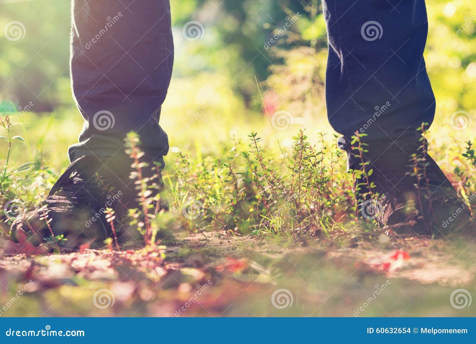 Man Standing in the Park at Sunset Stock Photo - Image of adult, angle ...