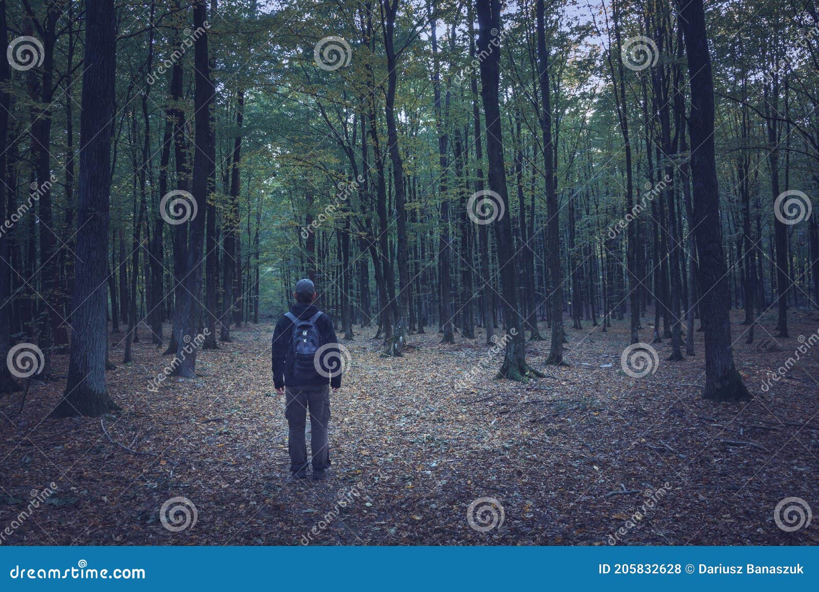 A Man Standing on a Path in a Dark Forest Stock Photo - Image of light ...