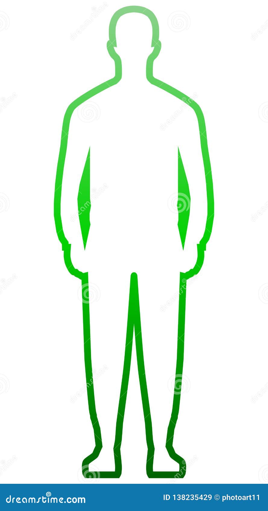 Man Standing Silhouette - Green Gradient Outline, Isolated - Vector ...