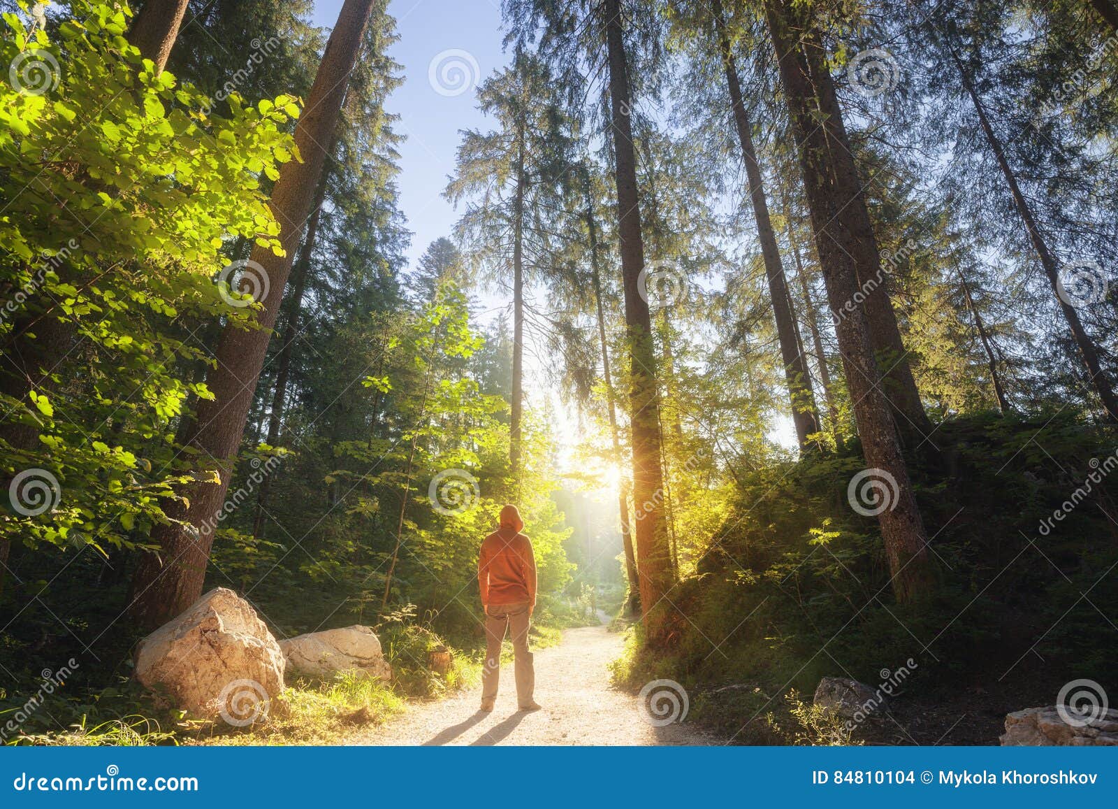 Man Standing at the Sunny Forest Stock Photo - Image of road, activity ...