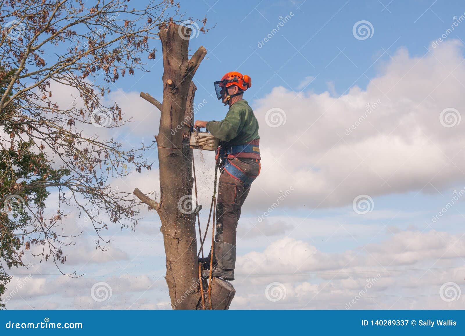 Man standing on tree stock image. Image of hands, active - 140289337