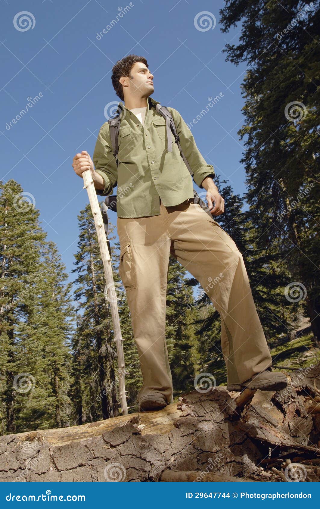 Man Standing on Tree Trunk stock photo. Image of holding - 29647744