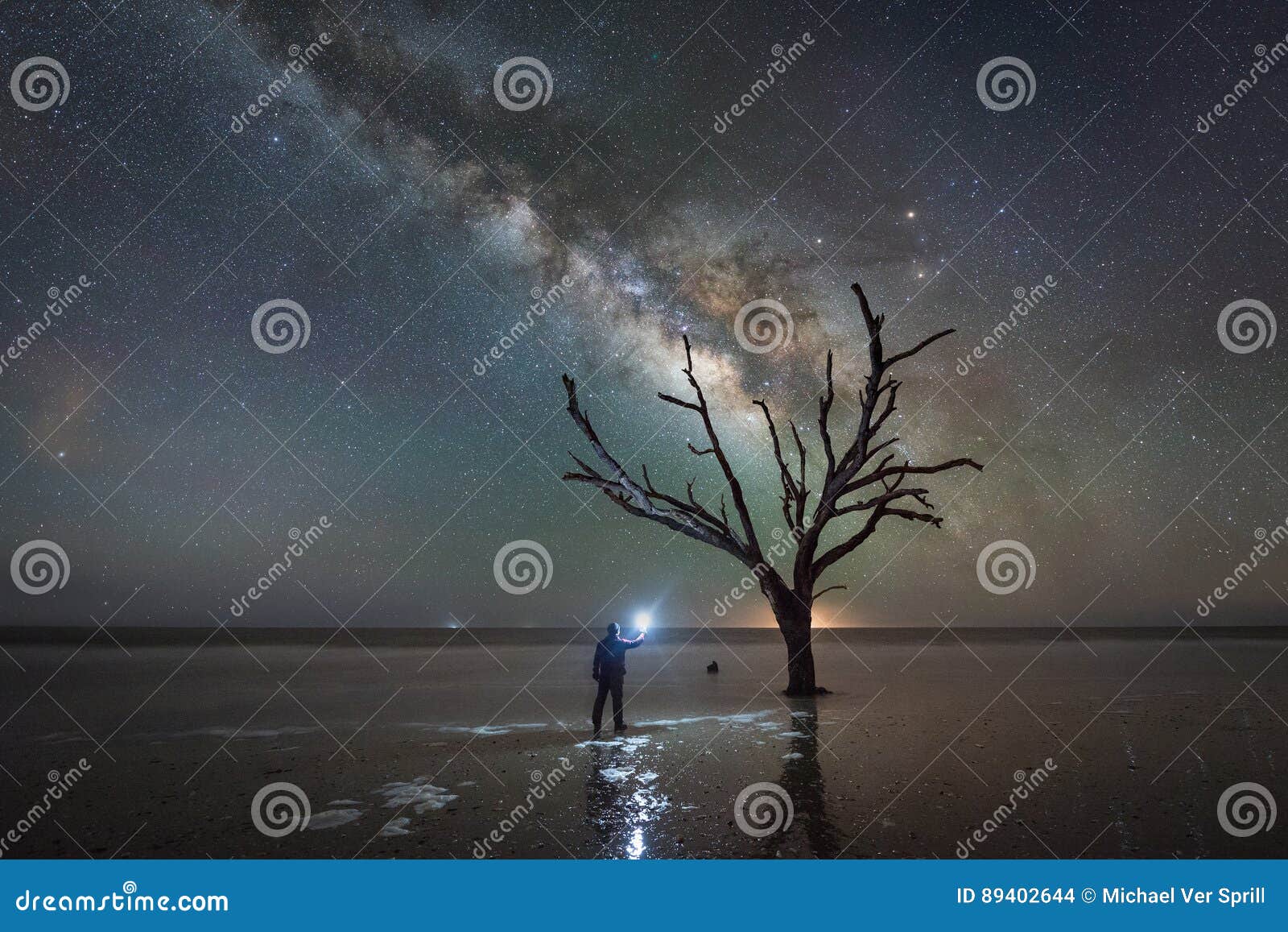 Man Standing Under a Bare Tree and the Milky Way Galaxy Stock Photo ...