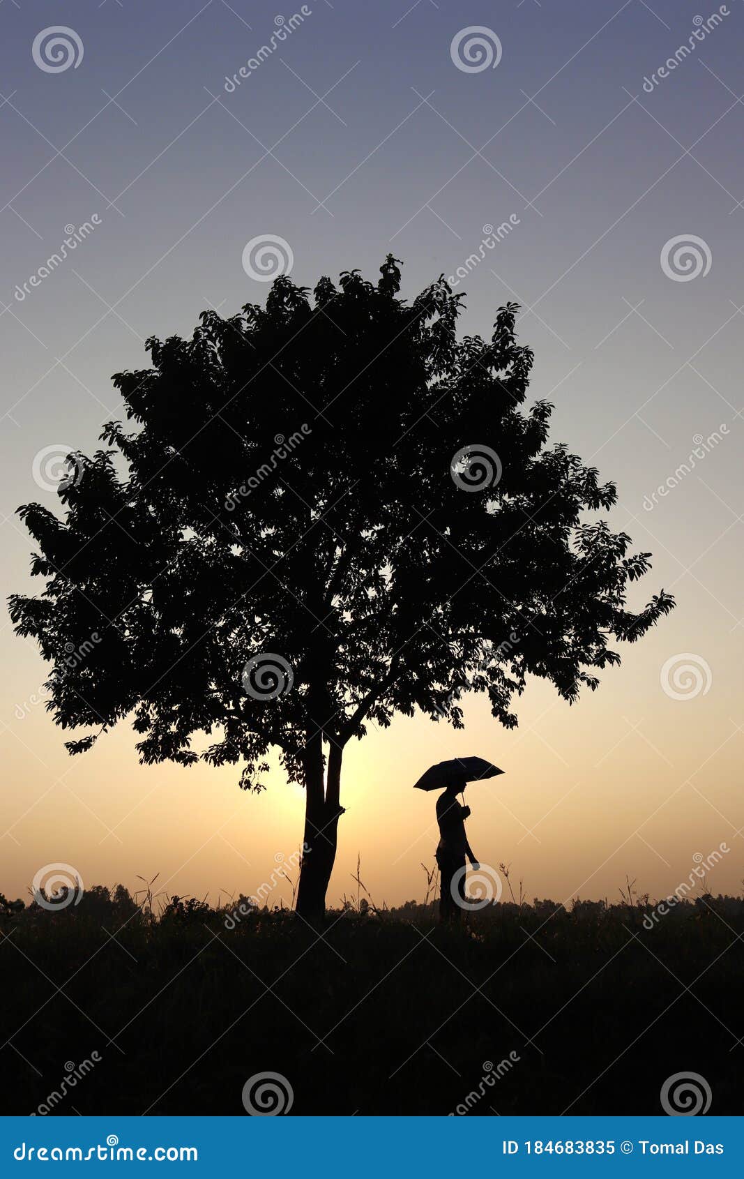 A Man is Standing Under a Tree with an Umbrella Stock Image - Image of ...