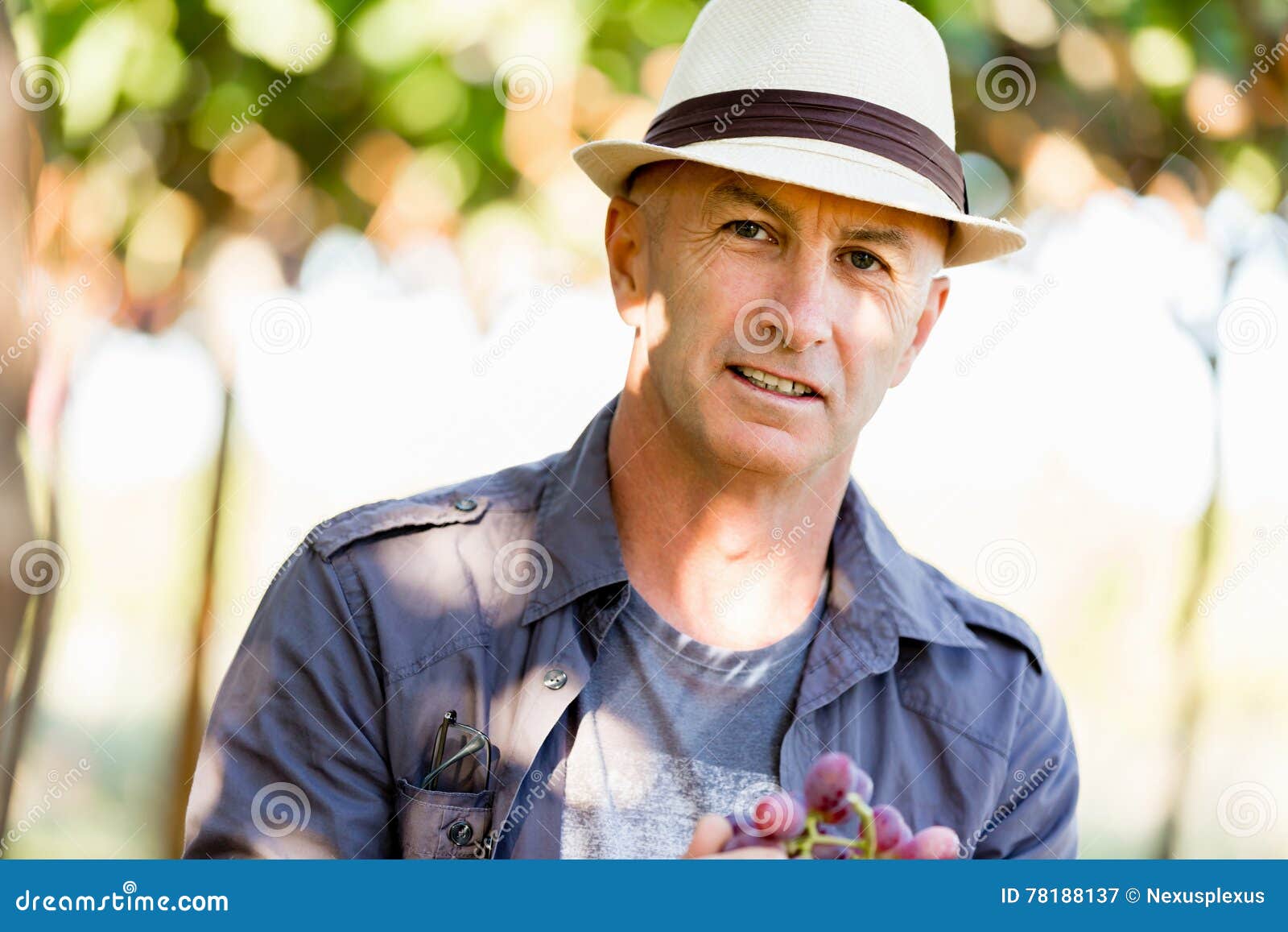 Man standing in vineyard stock image. Image of european - 78188137