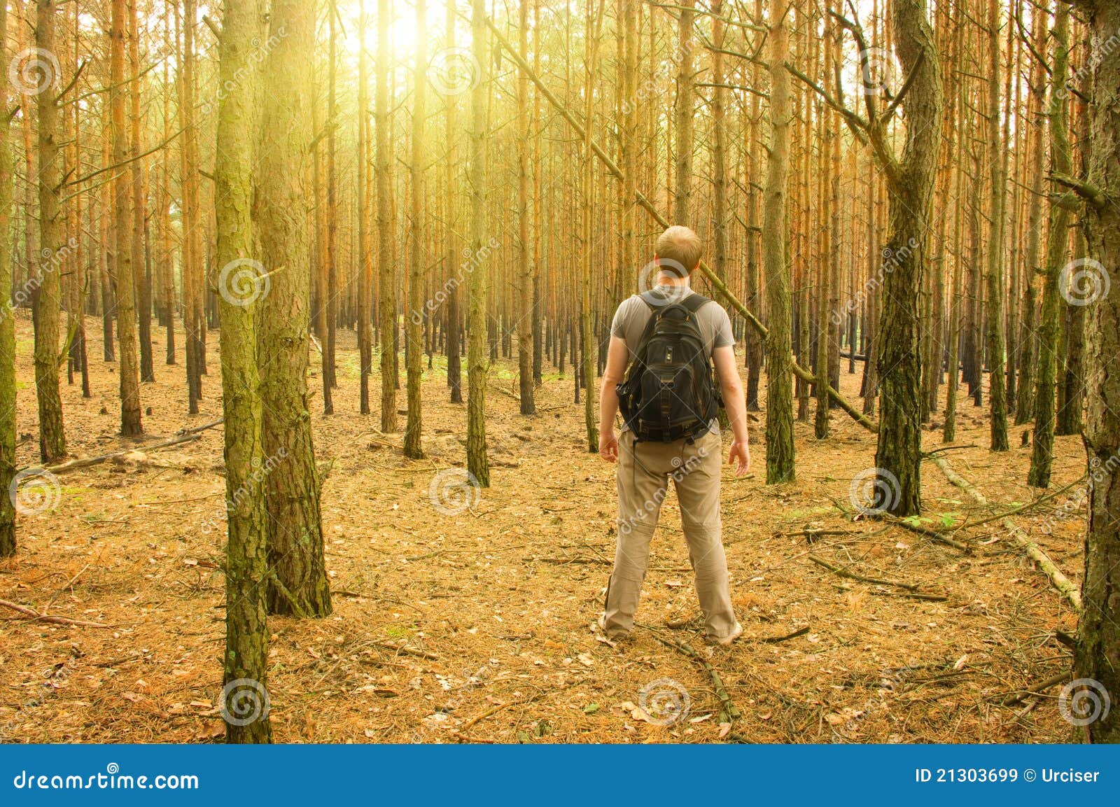 Man stands in the forest stock image. Image of front - 21303699