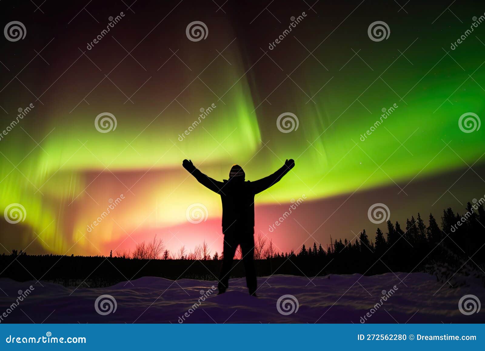 A Man Stands and Looks at the Beautiful Aurora. Back View Stock ...