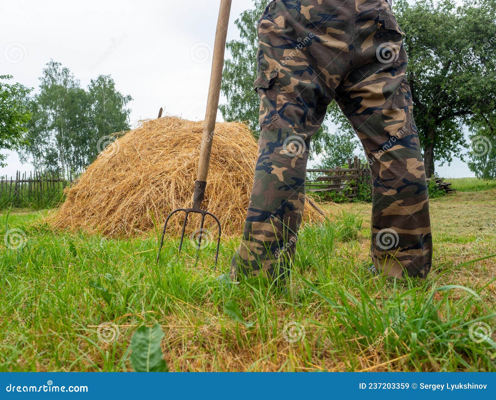 A Man Stands with a Pitchfork in Front of a Haystack. Rural Landscape ...