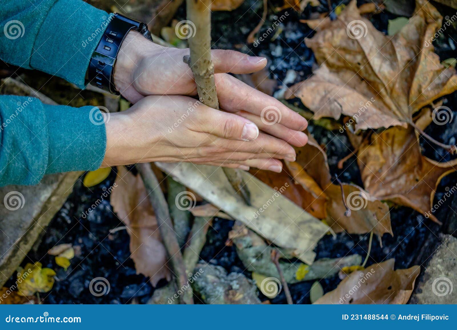 Man Starting a Fire for the Barbeque in the Woods. Stock Photo - Image ...