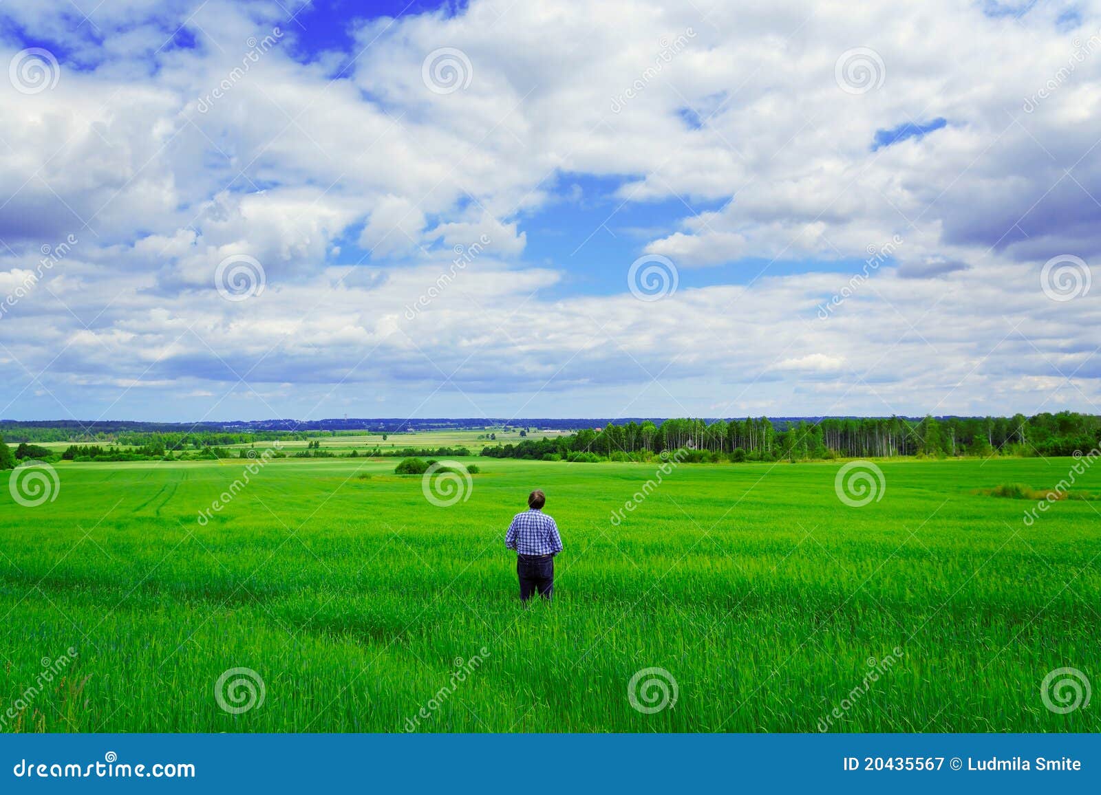 Man staying on the field. stock image. Image of background - 20435567