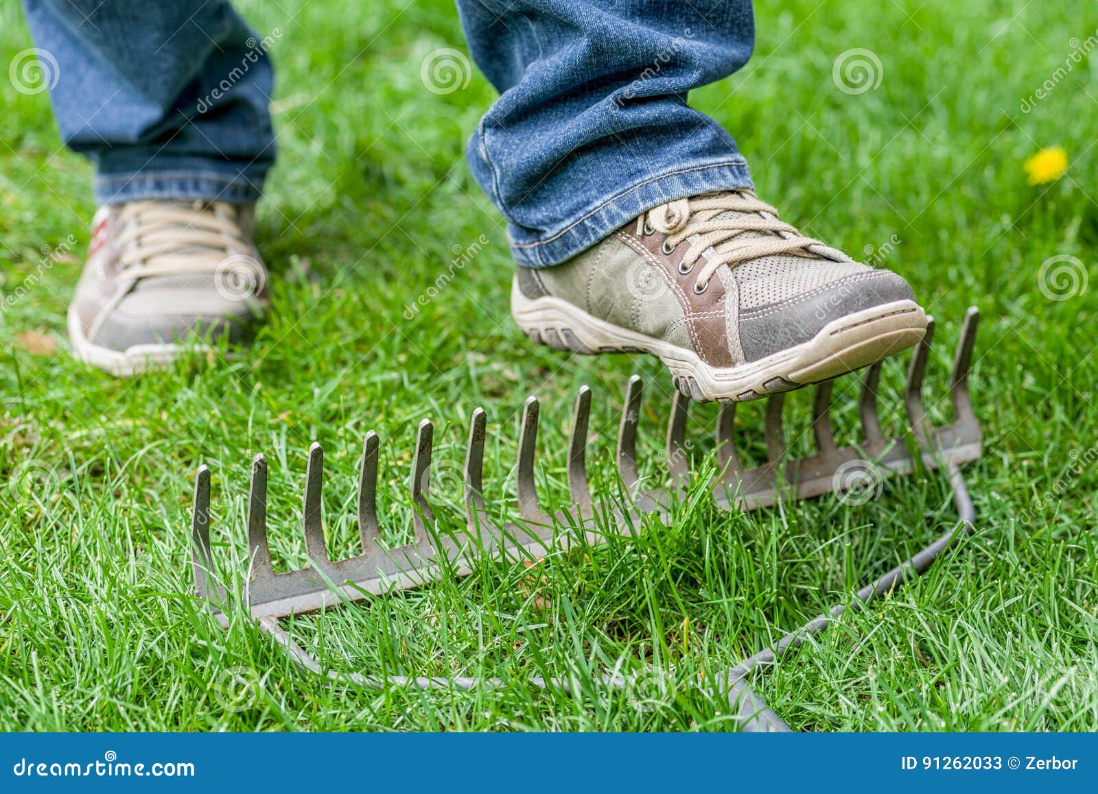 Man Stepping Accidentally on a Rake Stock Image - Image of gardener ...