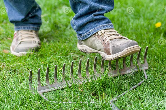 Man Stepping Accidentally on a Rake Stock Image - Image of gardener ...