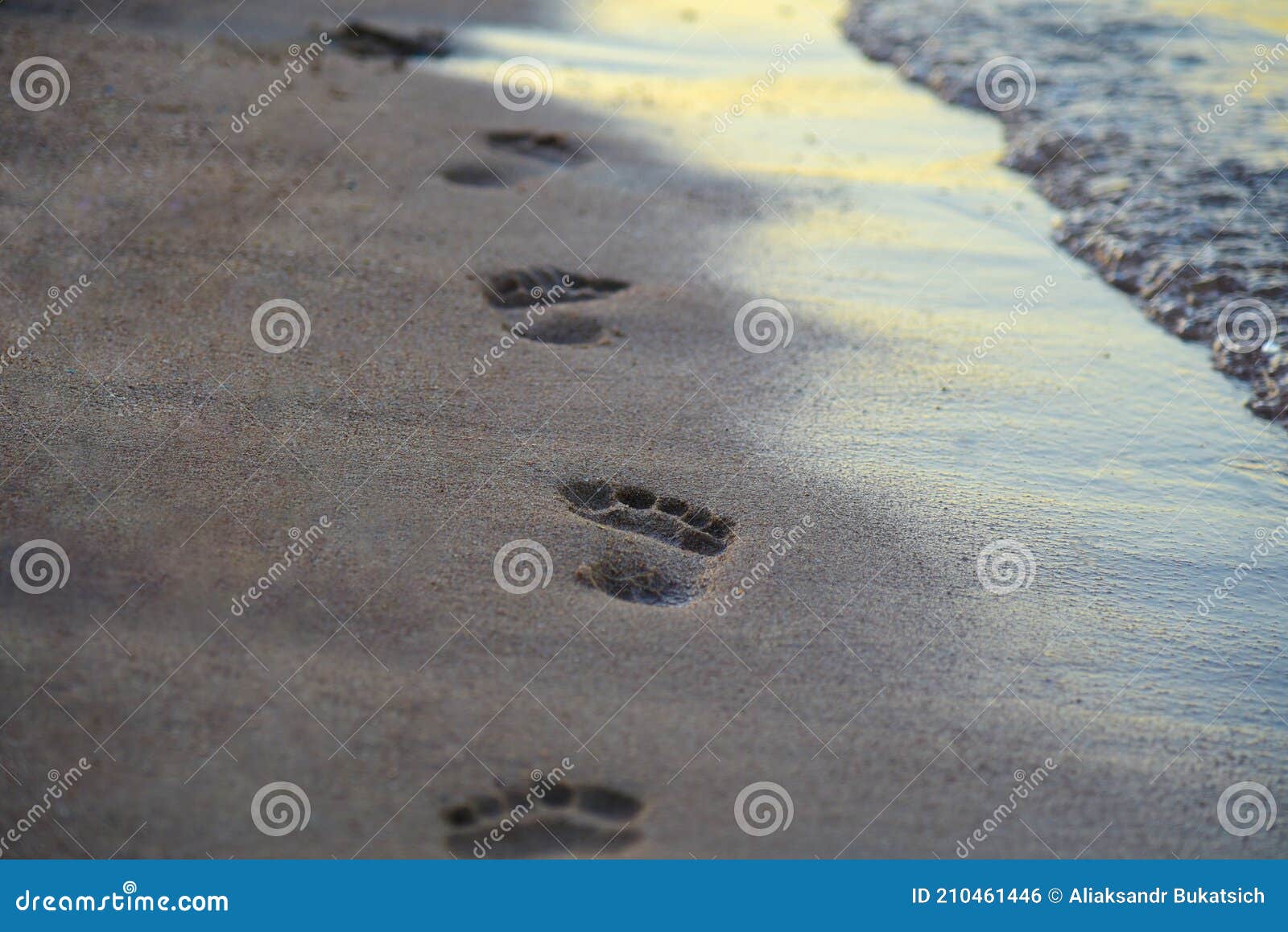 Man Steps on the Sand on the Sea Beach in the Evening. Stock Photo ...