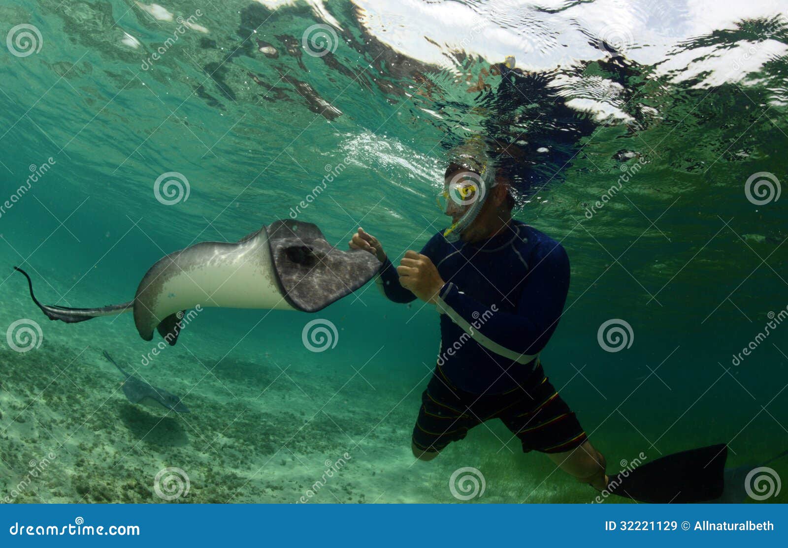 Man with a Stingray Underwater in Ocean Stock Image - Image of nature ...