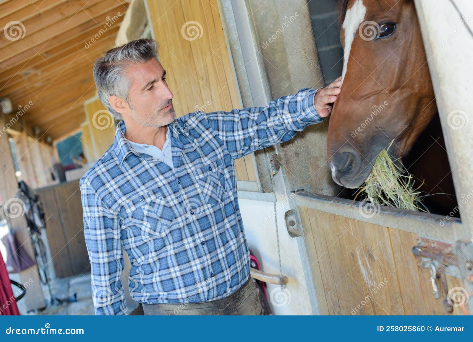 Man stroking horse stock photo. Image of rancher, farm - 258025860