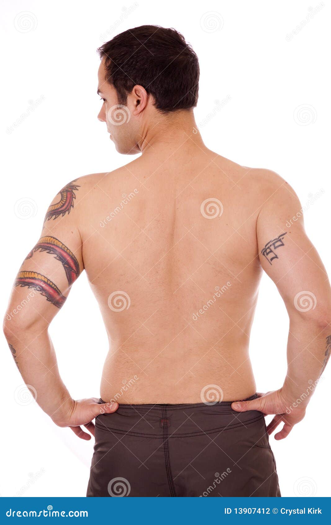 Man with strong back stock photo. Image of muscles, exercise - 13907412