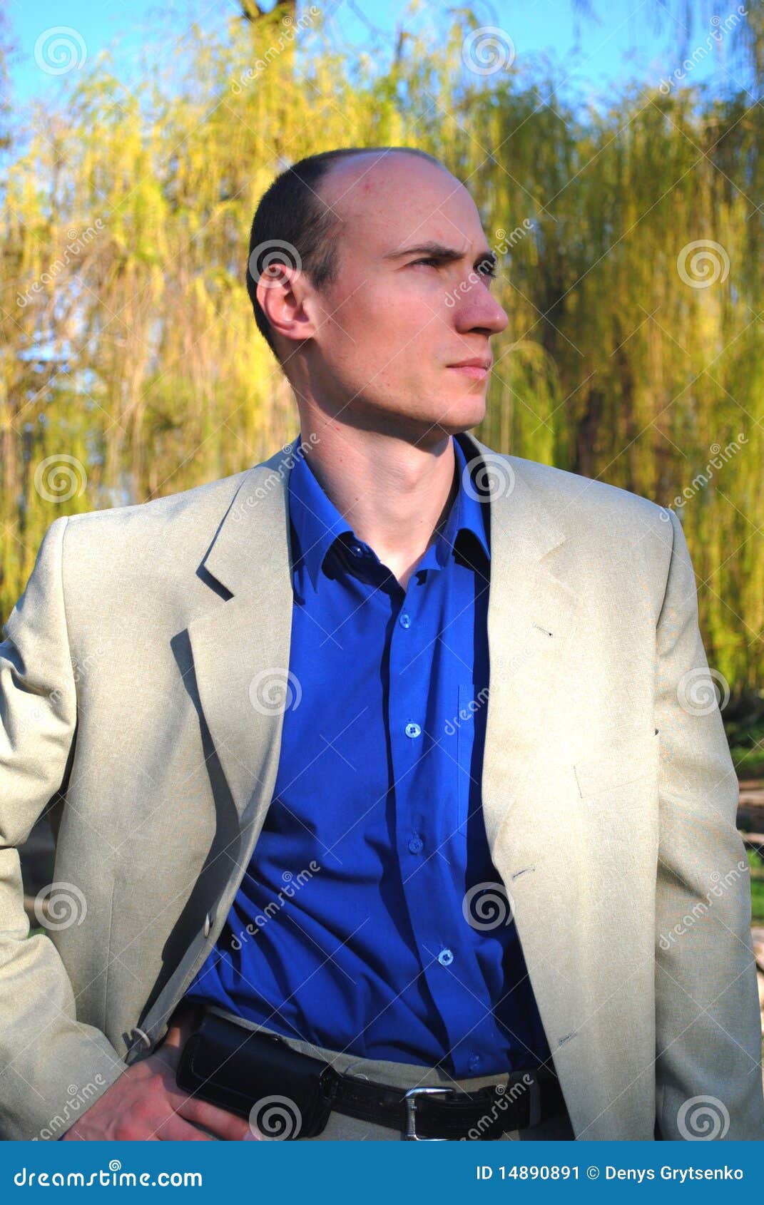 Man in suit stock image. Image of dress, manhood, manliness - 14890891