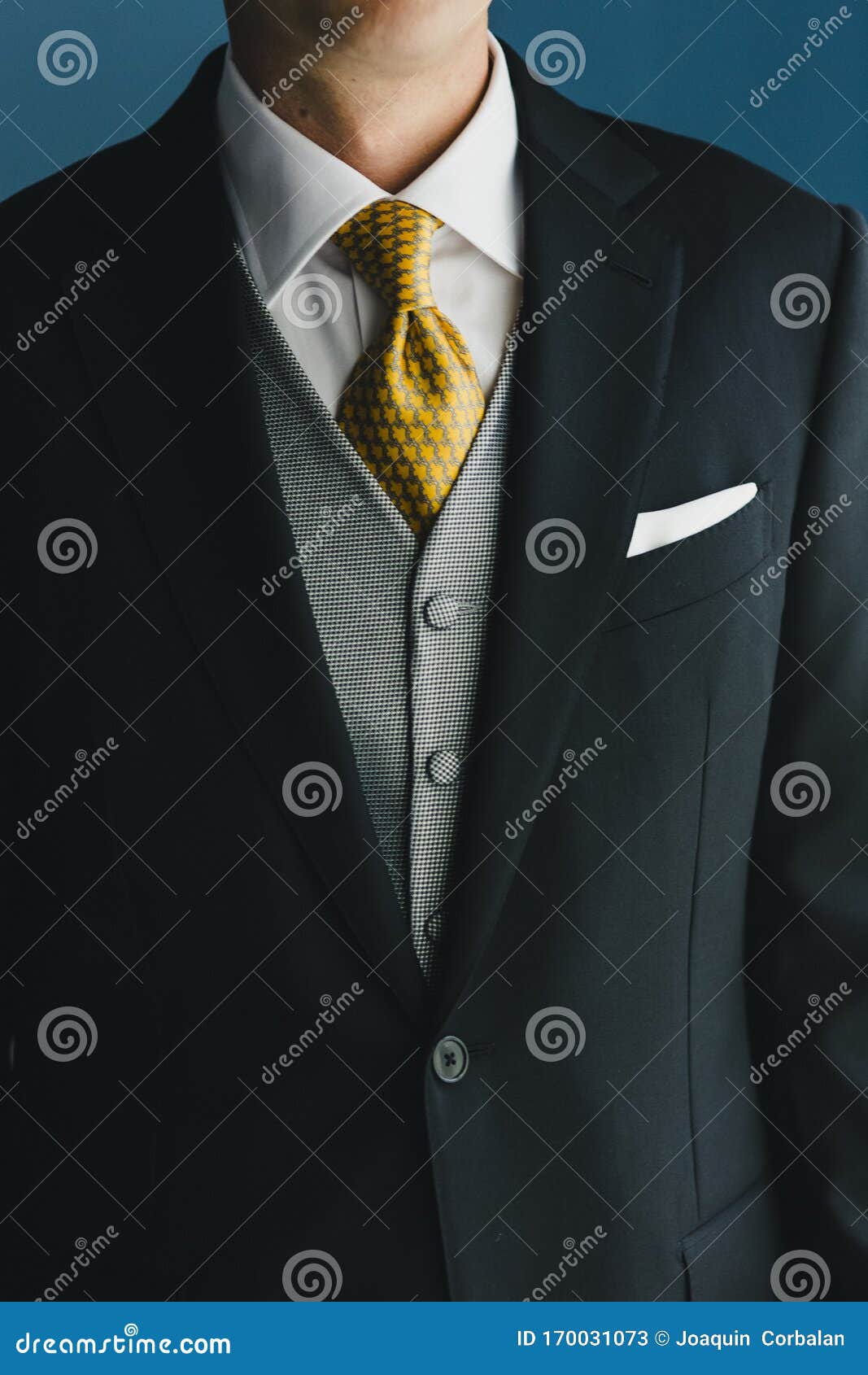 Man suit with elegant tie stock image. Image of model - 170031073